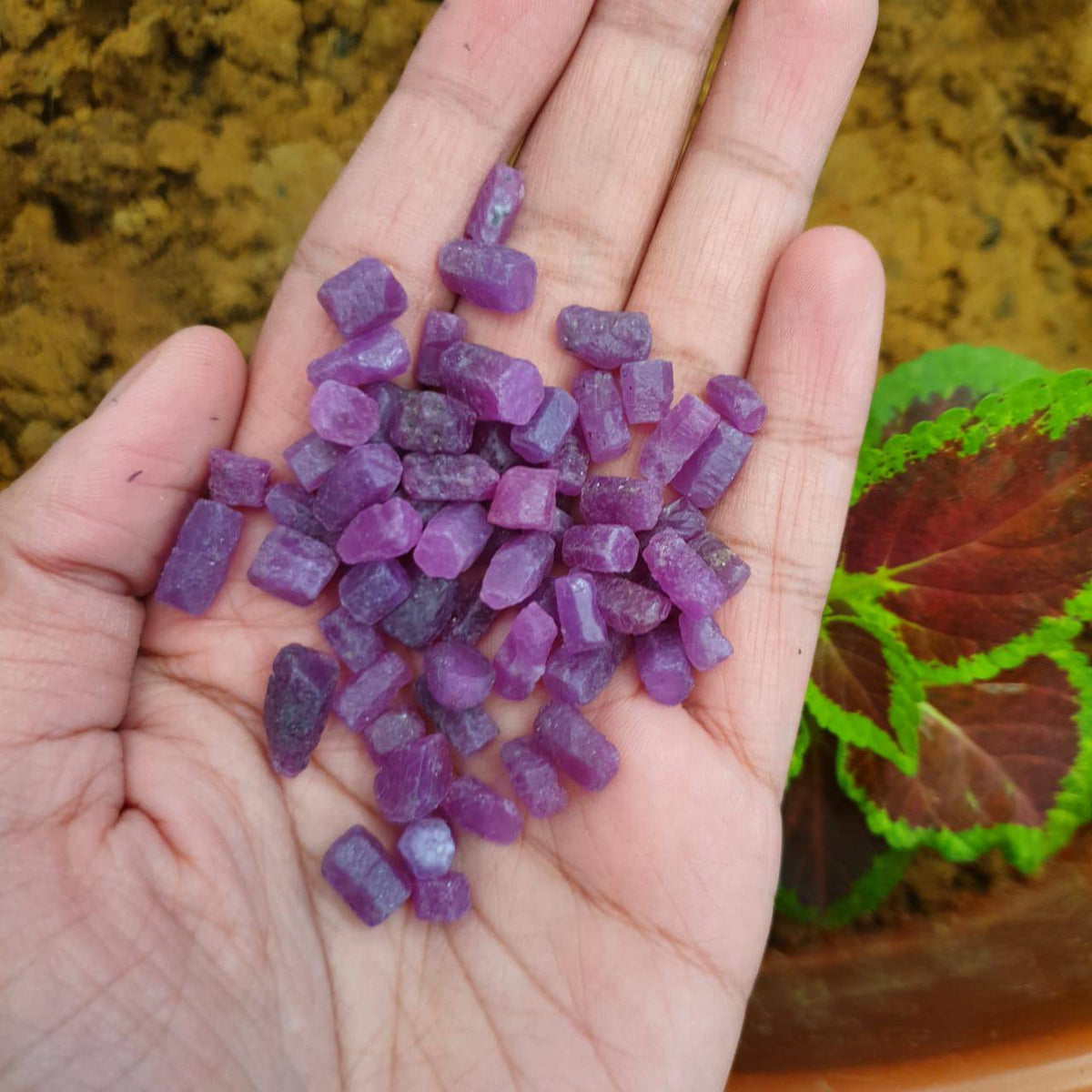 25 Pcs Natural Ruby Mineral | Untreated Old South African Mined | 7 ...